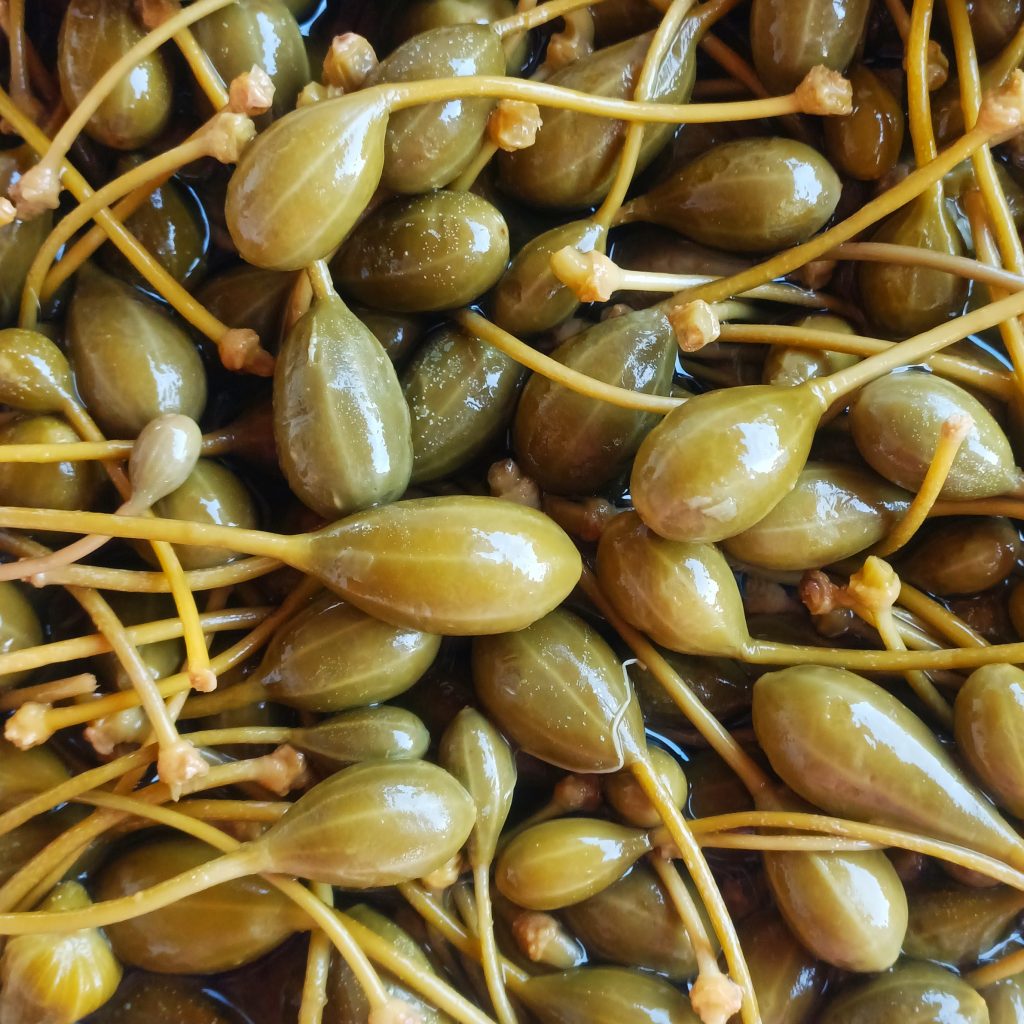 Tienda - Aceitunas la Ibérica