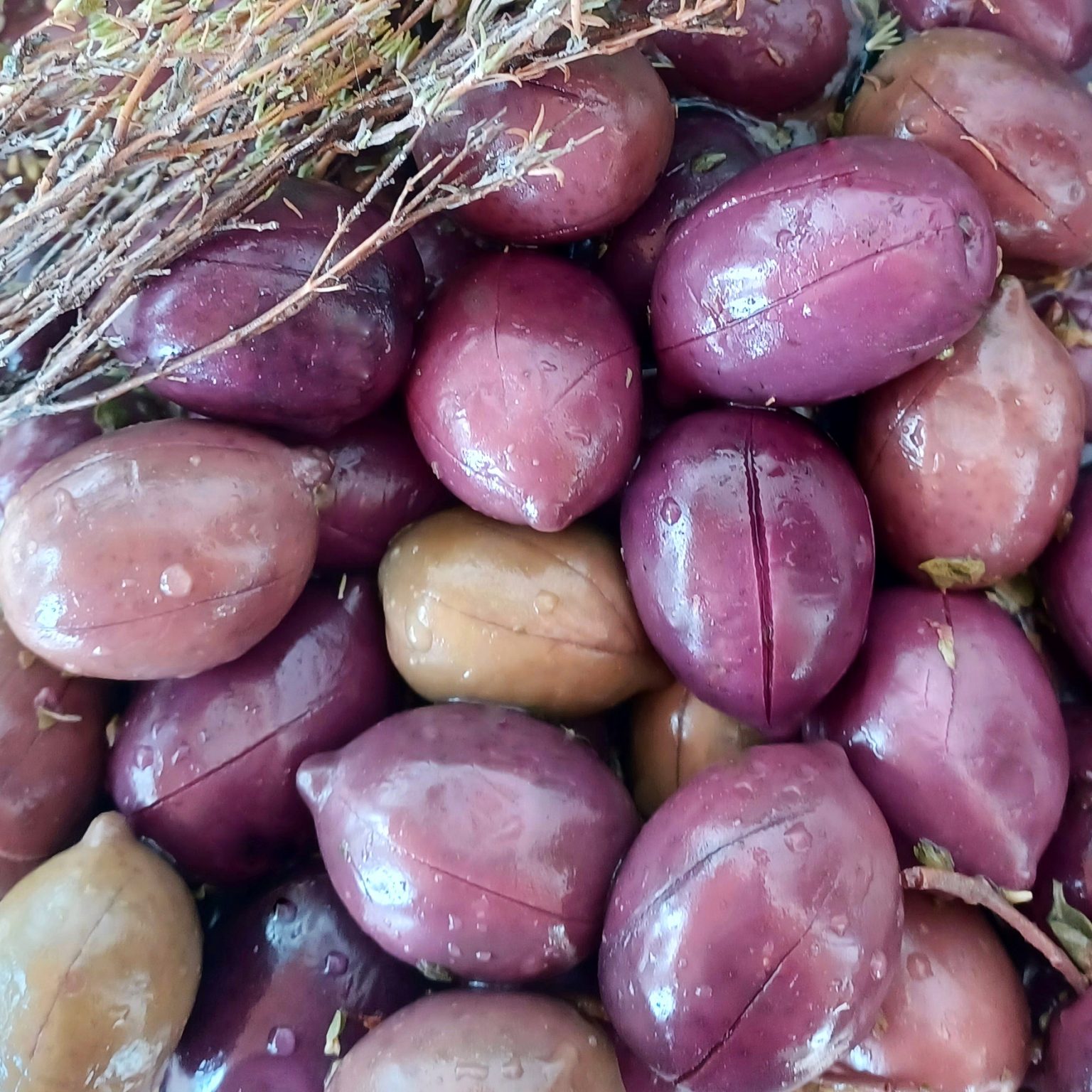 Aceitunas - Aceitunas la Ibérica